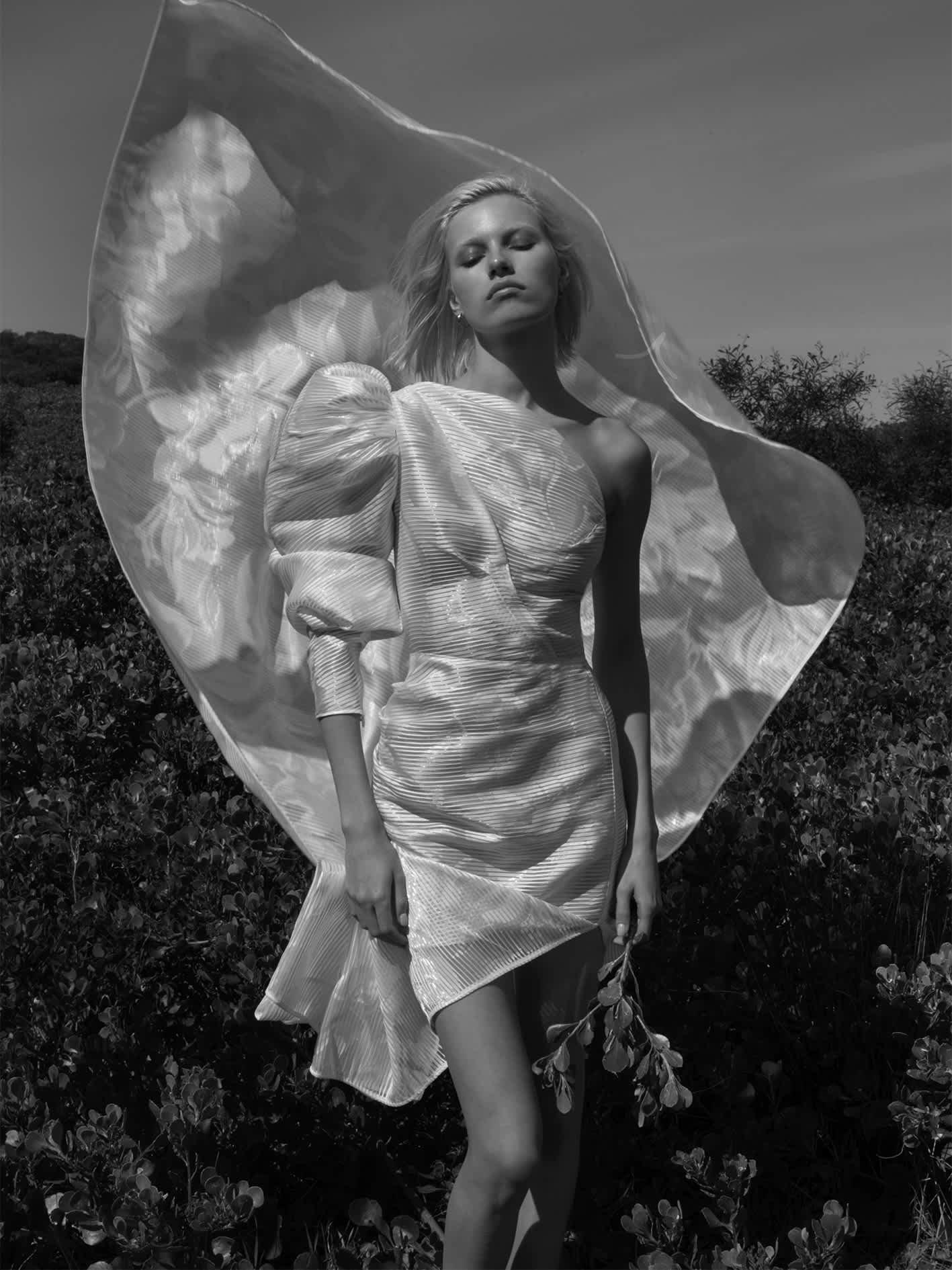 Modern Womens Fashion | Maticevski