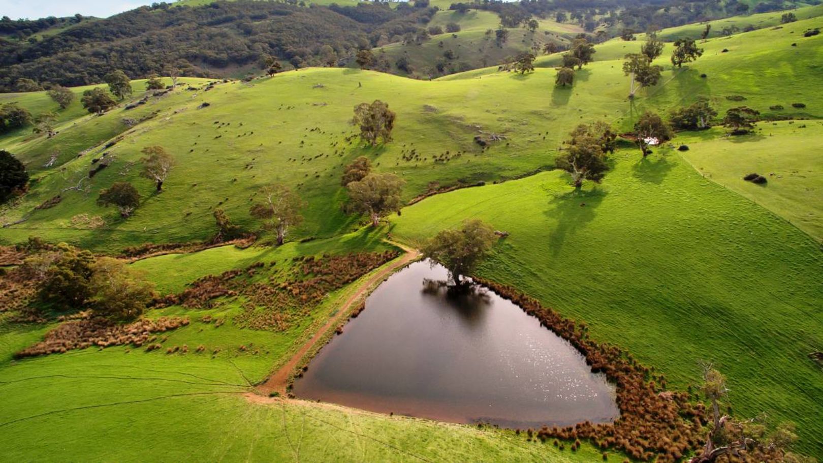 TOOP+TOOP Real Estate