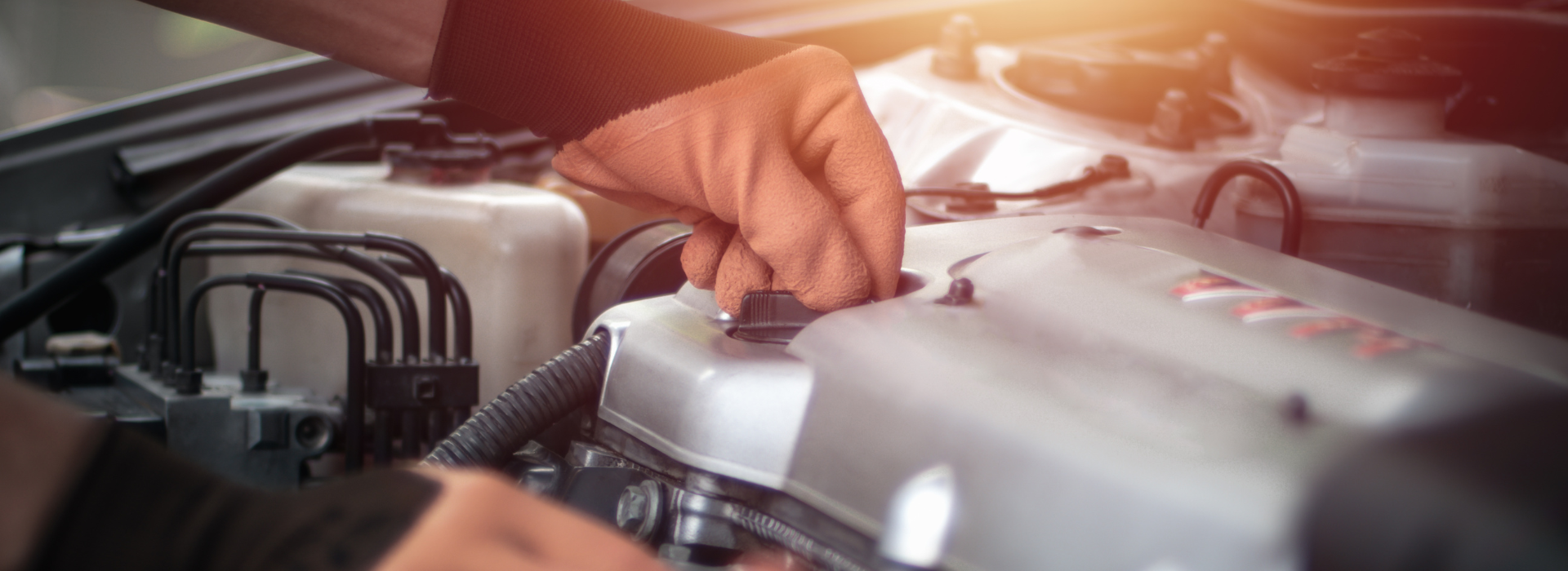 Service Special Passenger Vehicle Service | John Hughes