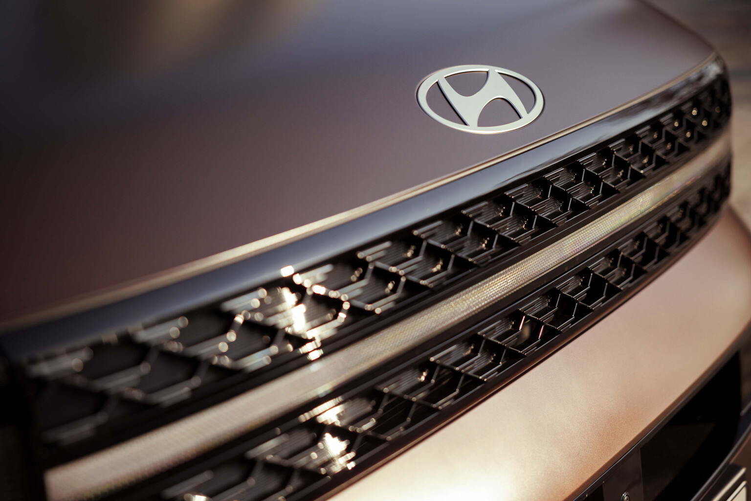 Hyundai's 2024 Lineup: Electric Excitement, SUV Evolution, and a ...