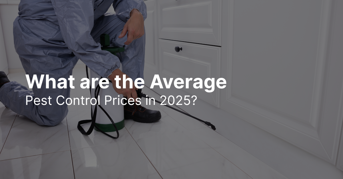2025 Pest Control Costs Australia | Annual Pest Management