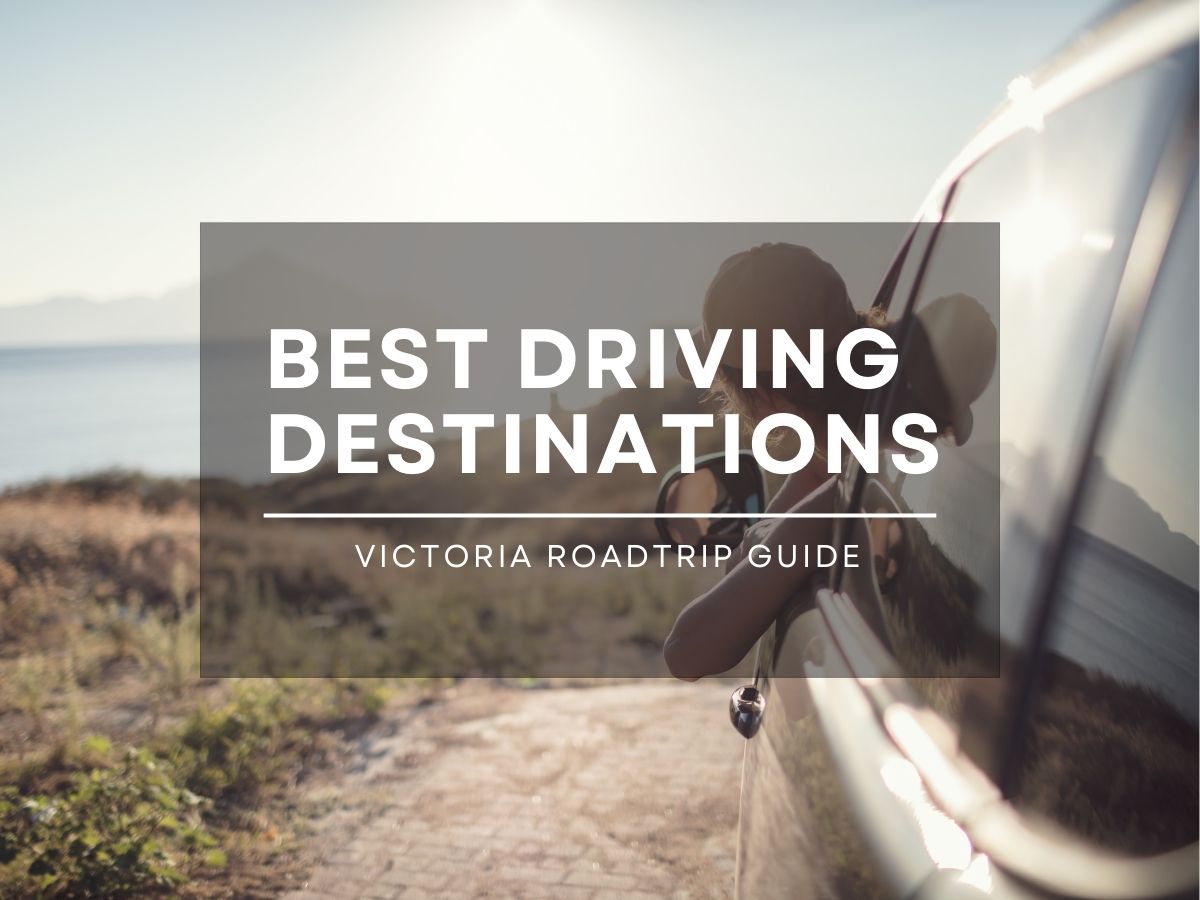 Victoria's Top Driving Destination: Scenic Routes and Hidden Gems ...