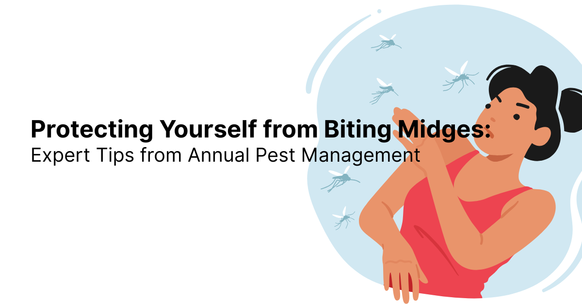 Protect Yourself from Biting Midges | Annual Pest Management