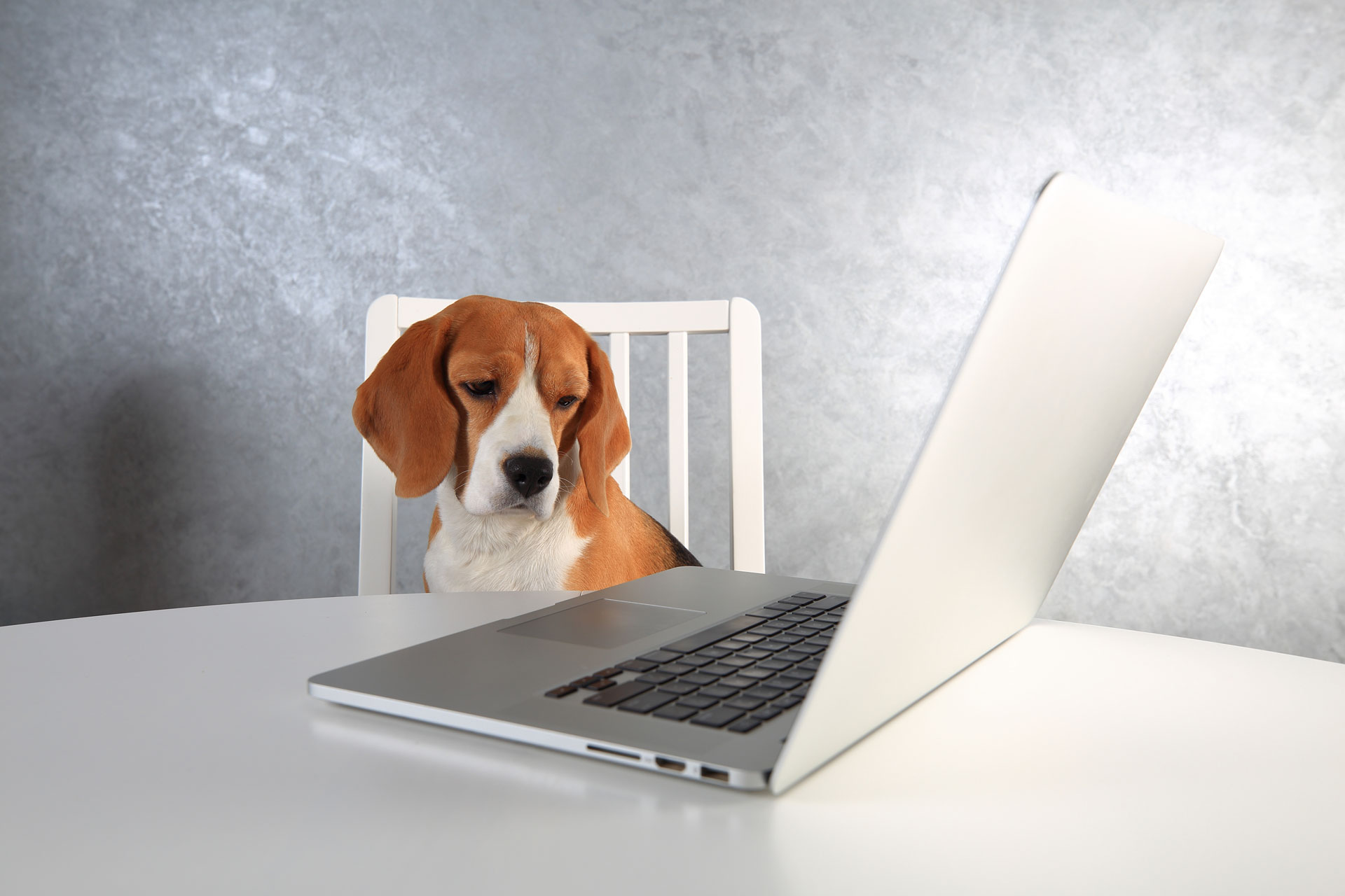 Comprehensive Credit Reporting | Finance Beagle