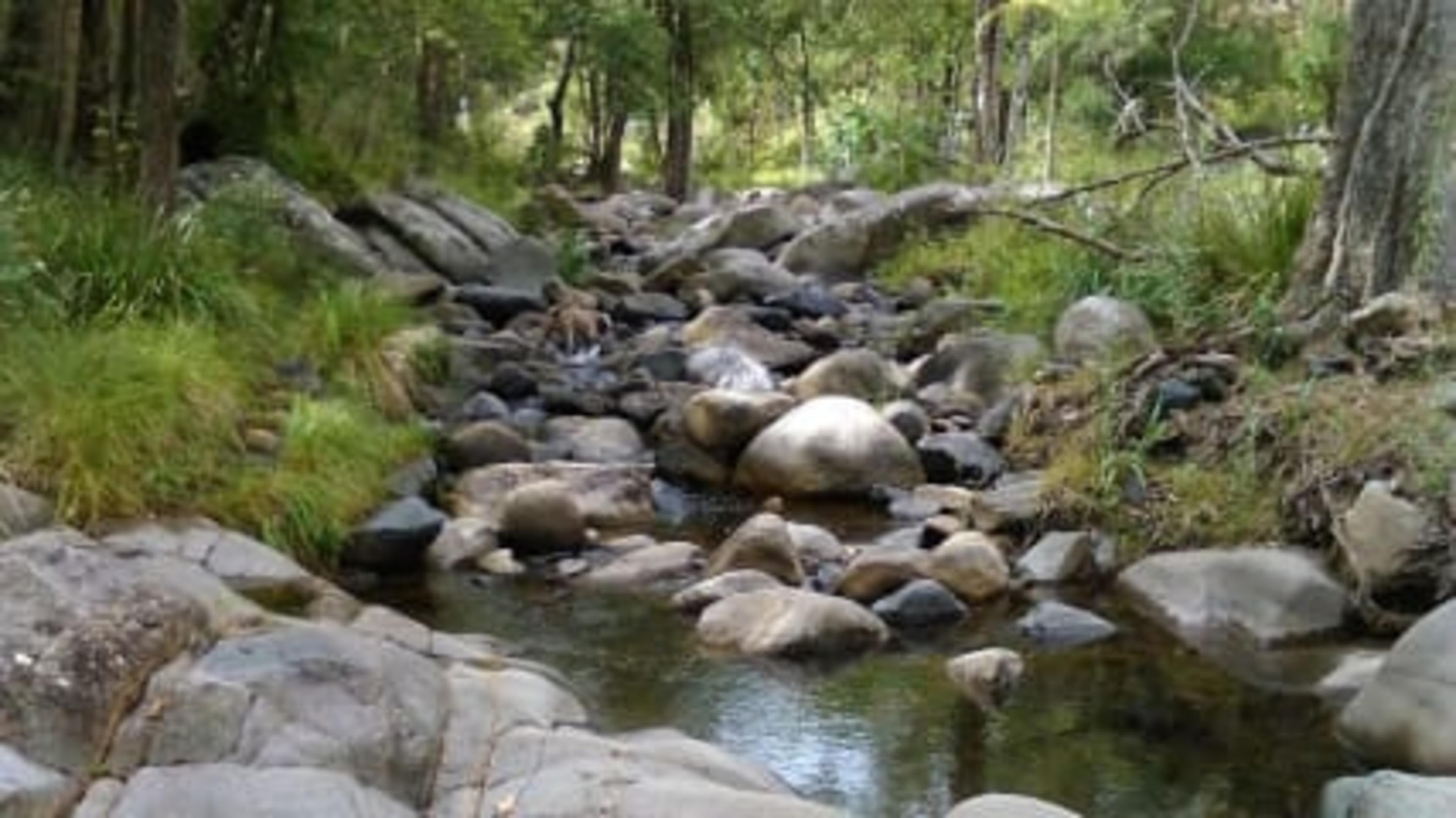 Top 3 Freshwater Rock Pools Near Brisbane | Motorama