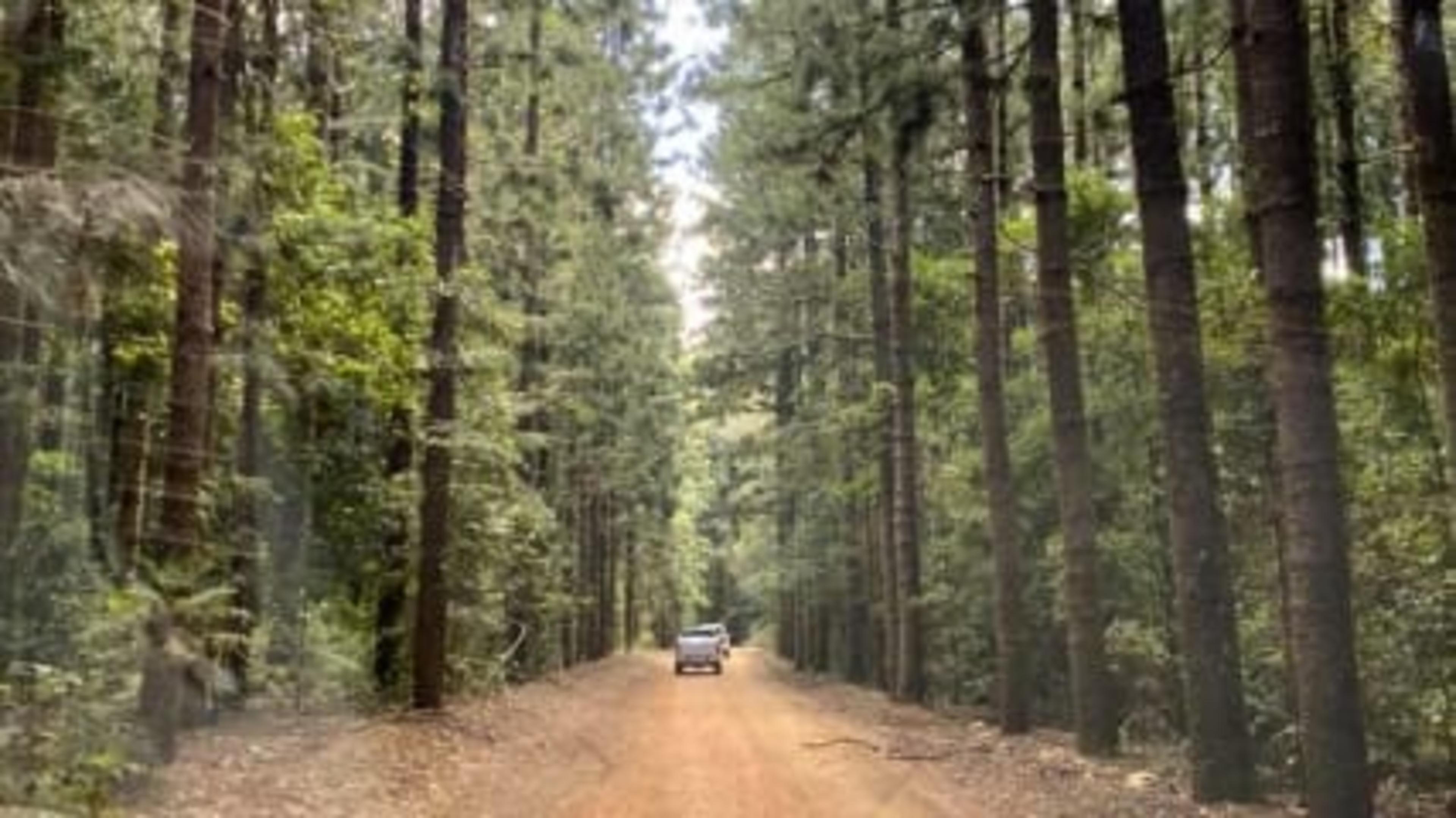 Adventure Guide | Mt Mee | Motorama