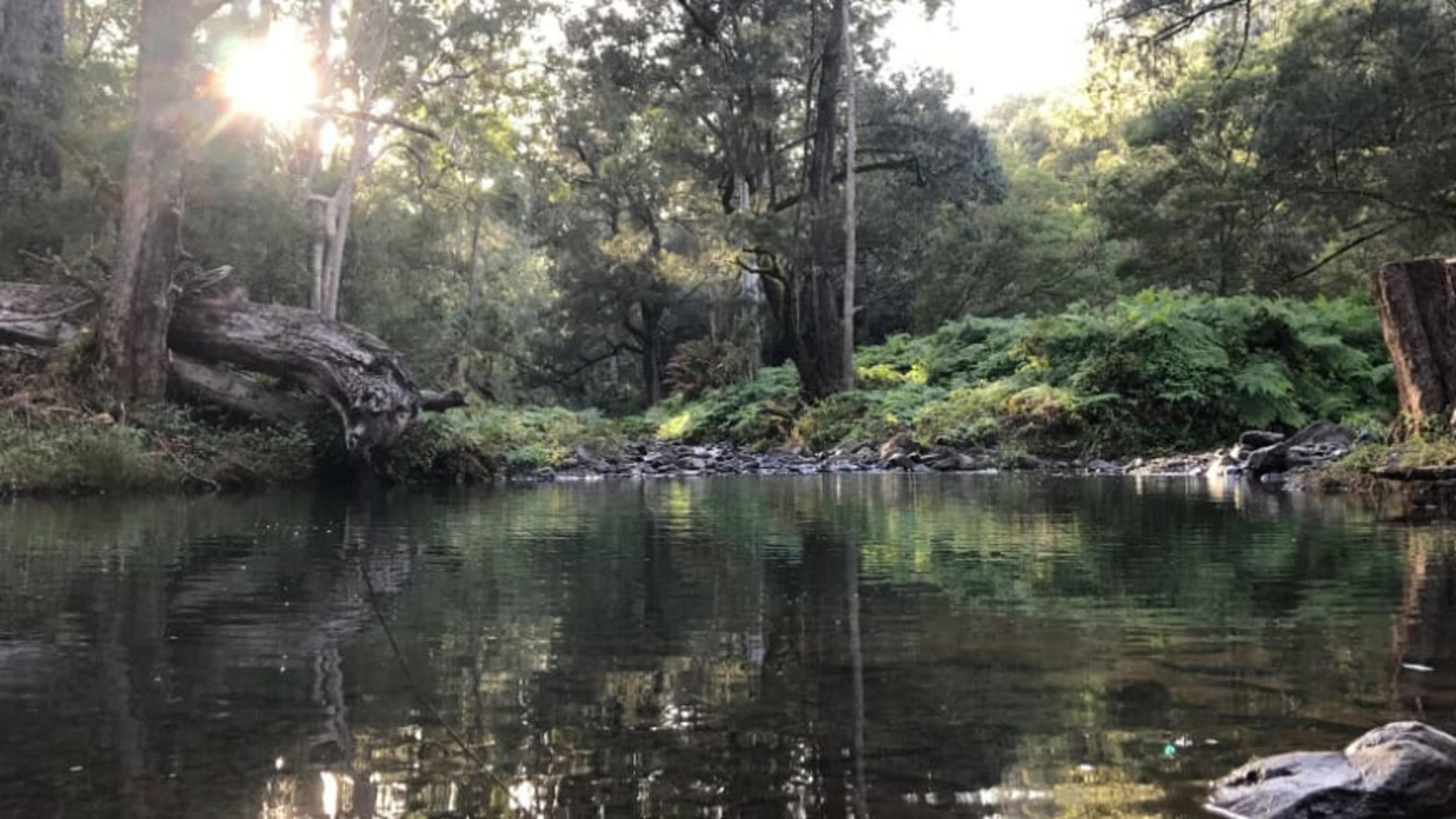 Adventure Guide: Gordon Country | Motorama