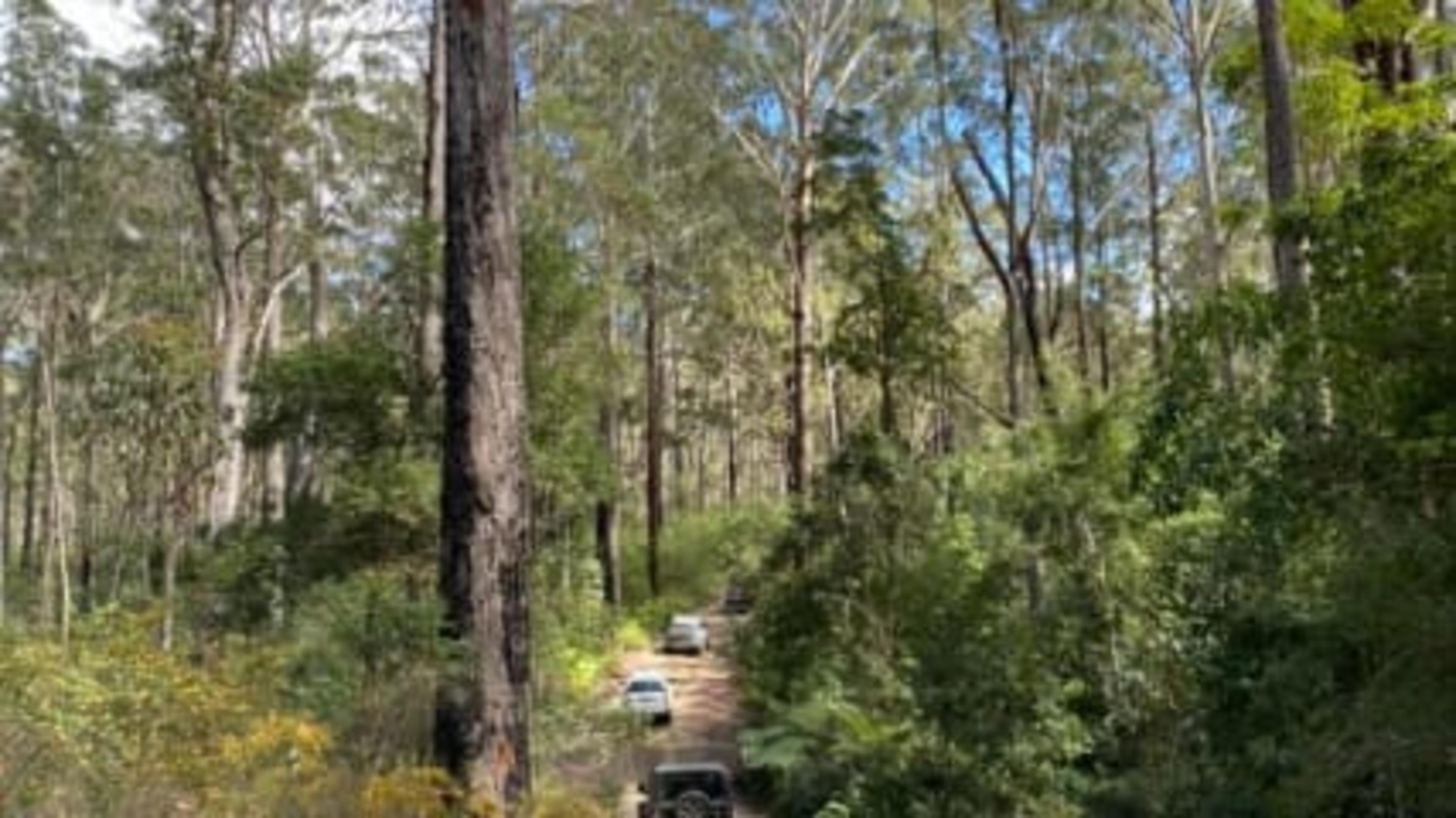 Adventure Guide | Mt Mee | Motorama