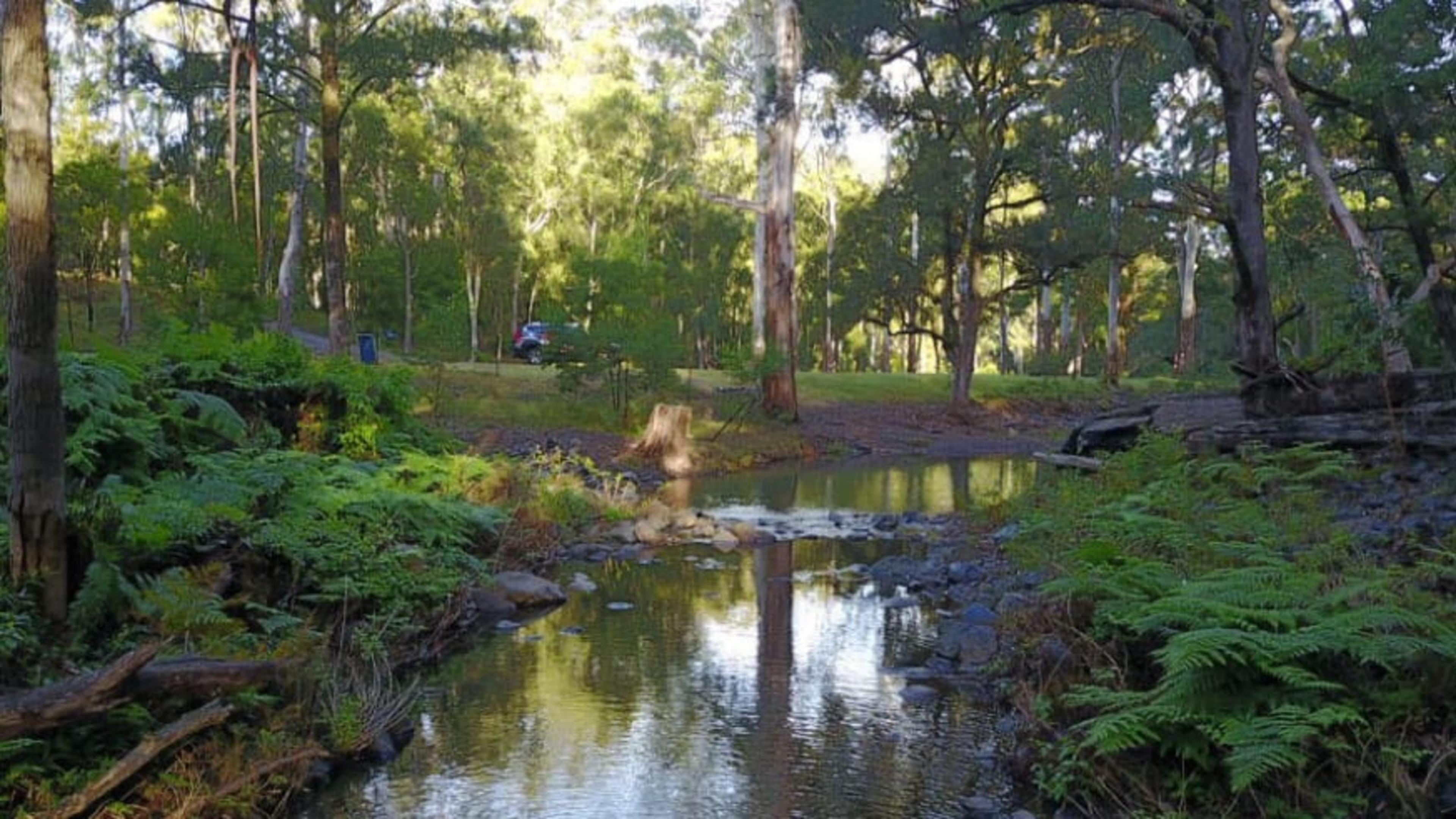 Adventure Guide: Gordon Country | Motorama