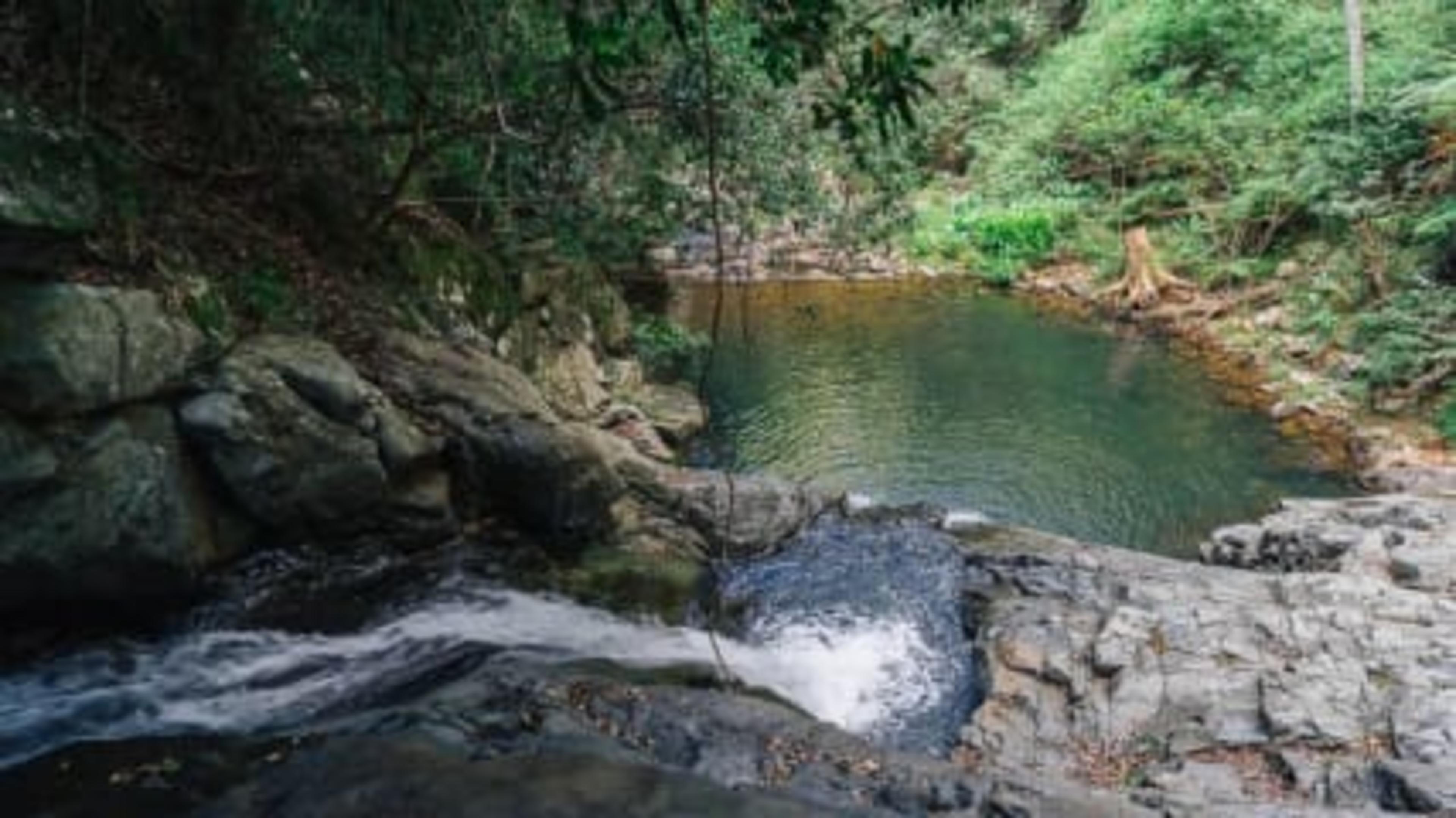 Top 3 Freshwater Rock Pools Near Brisbane | Motorama