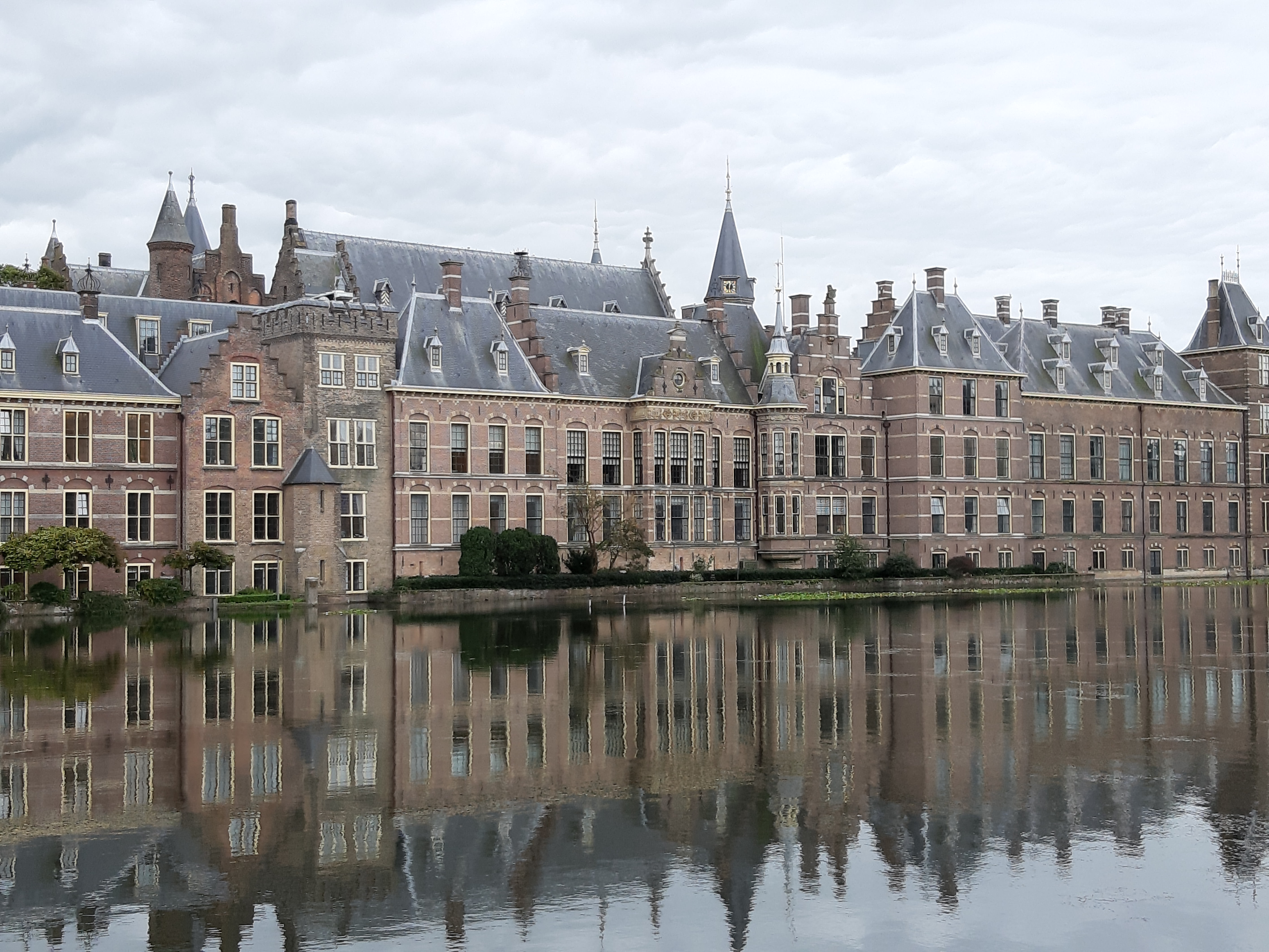 Walk around the important institutions of The Hague - live online tour ...