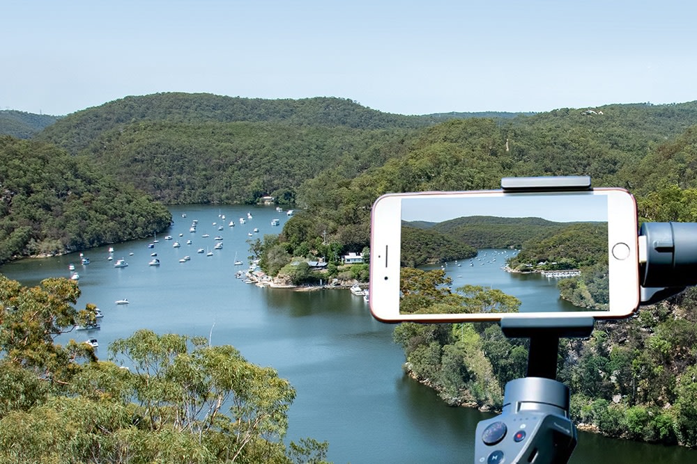 Hike through Sydney's bush landscape - live online tour from Sydney