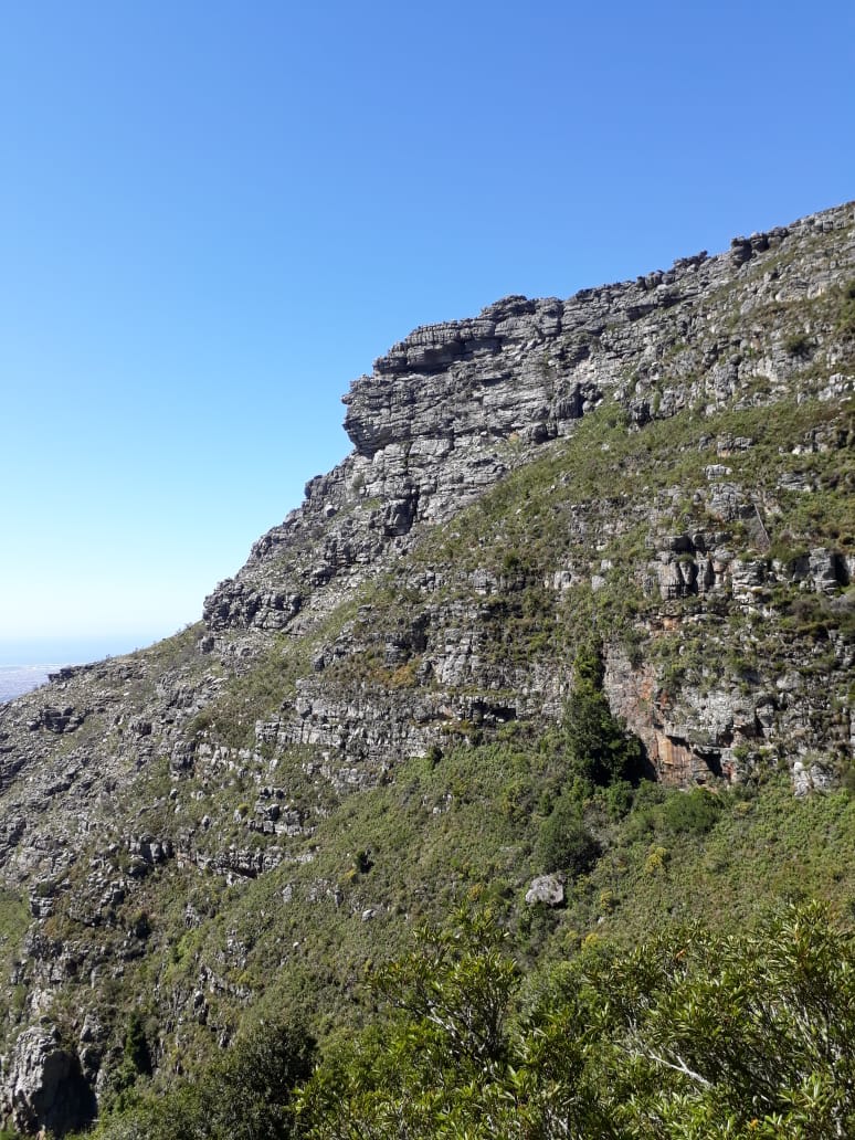 Hike to Table Mountain via Skeleton Gorge and Nursery Ravine - live ...