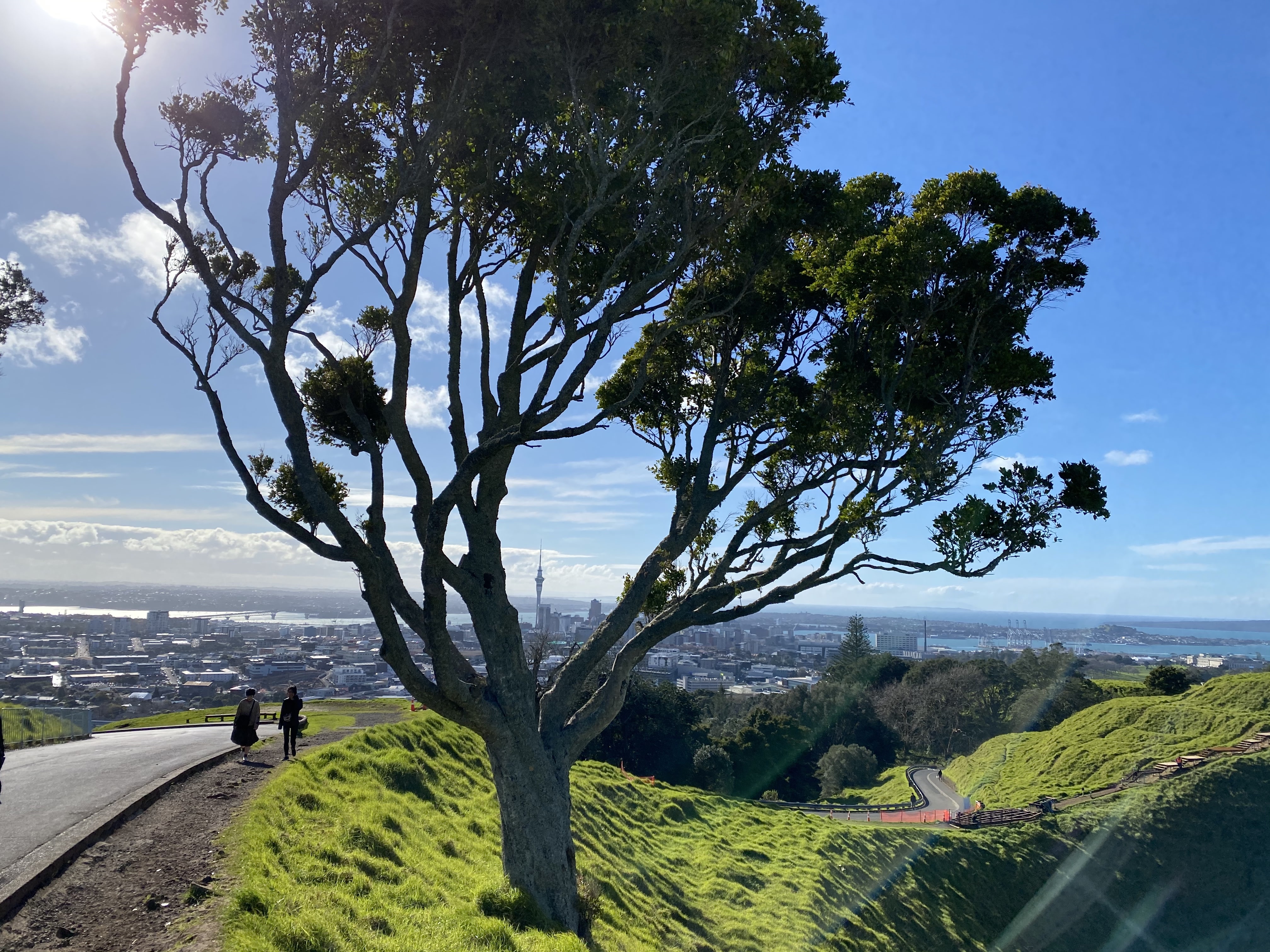 Climb to the Crater of Maungawhau Mt Eden - live online tour from Auckland