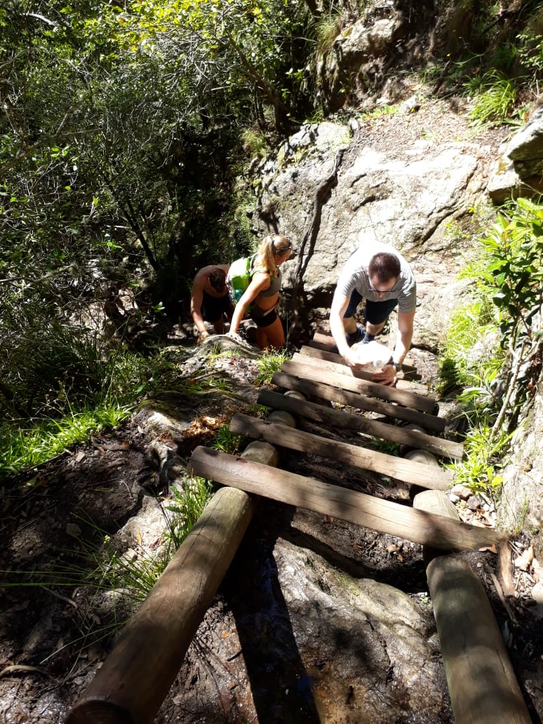 Hike to Table Mountain via Skeleton Gorge and Nursery Ravine - live ...