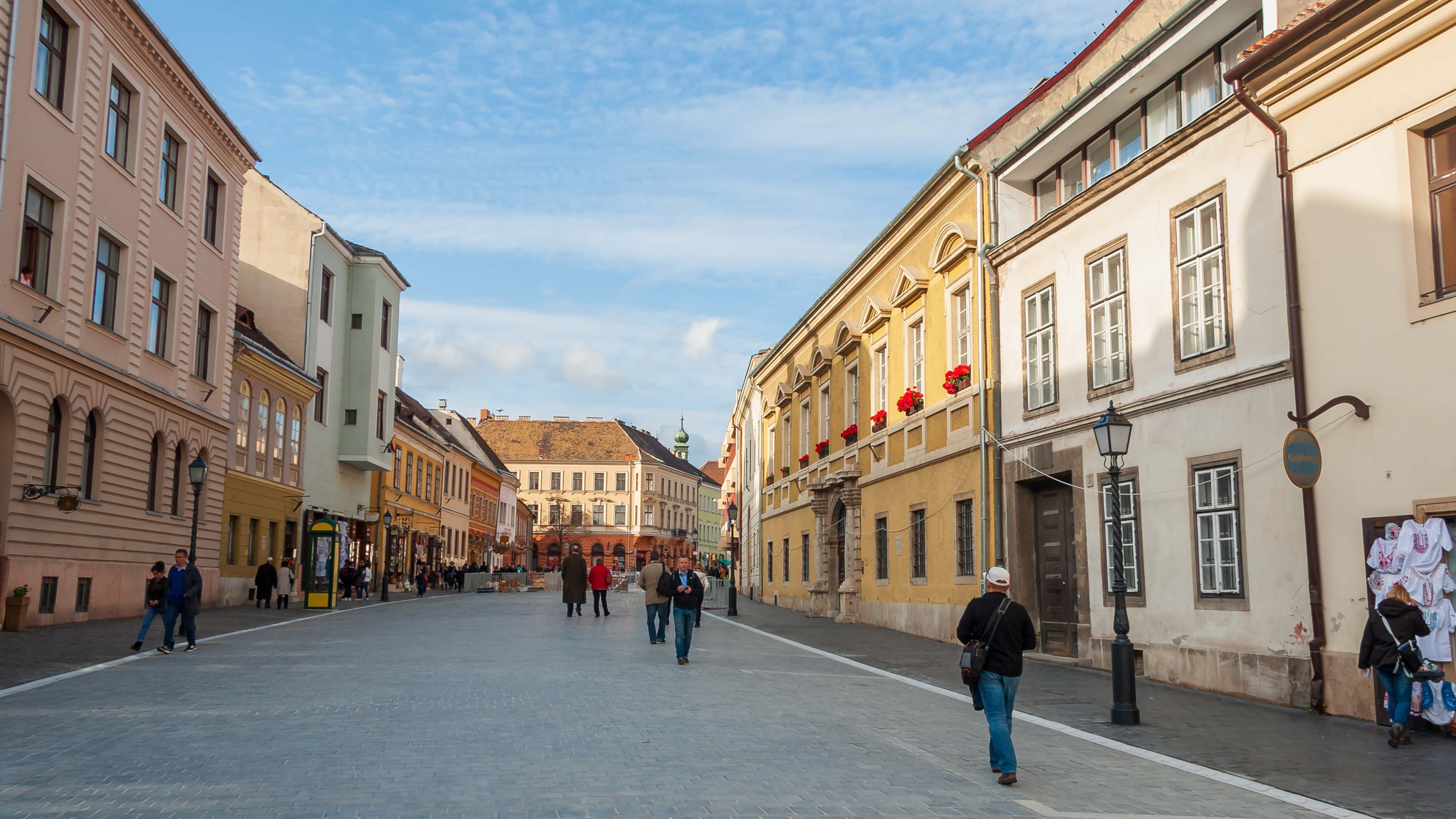 Walk through the highlights of Buda Castle District - live online tour ...