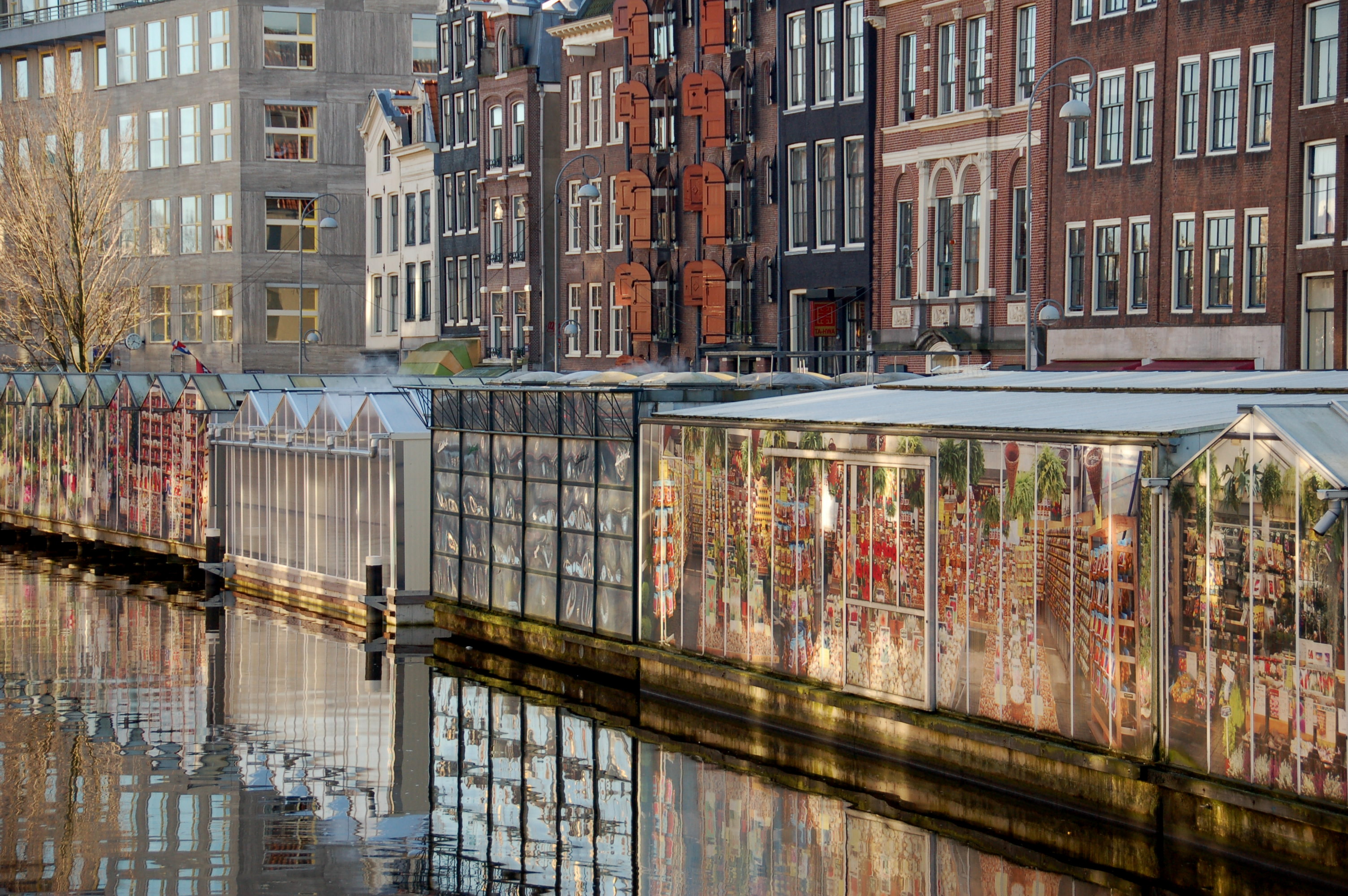 Walk Along the Canals of Amsterdam - live online tour from Amsterdam