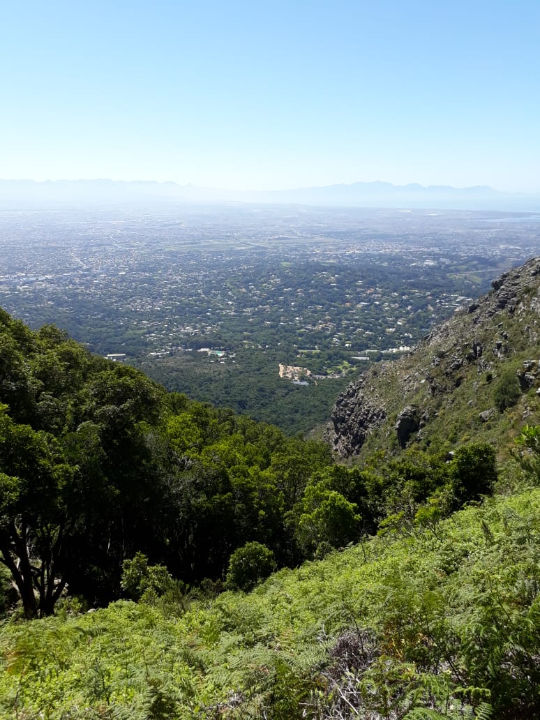 Hike to Table Mountain via Skeleton Gorge and Nursery Ravine - live ...