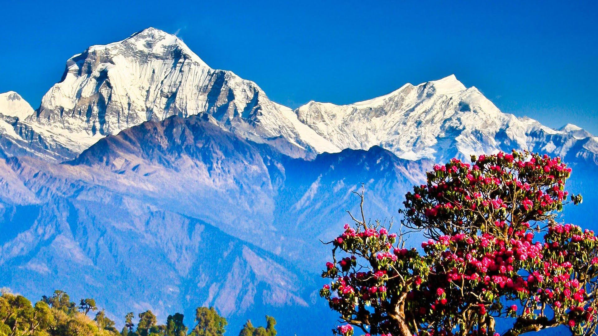 Sundar (Nepal/Tibet /Bhutan Tour Operator) Private Tour Guide in ...