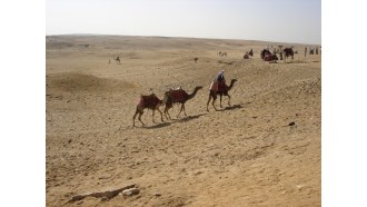 Rasha Hamid Private Tour Guide in Cairo, Egypt – tourHQ