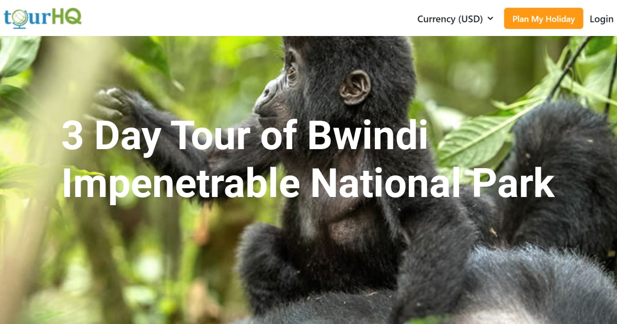 3 Day Tour of Bwindi Impenetrable National Park