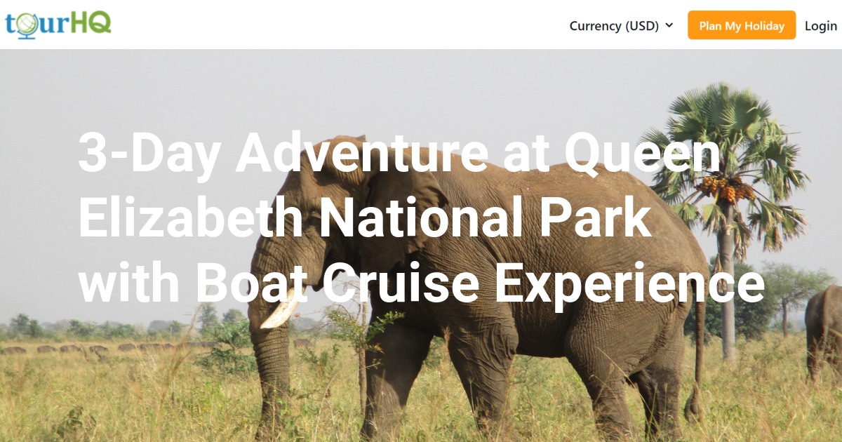3-Day Adventure at Queen Elizabeth National Park with Boat Cruise ...
