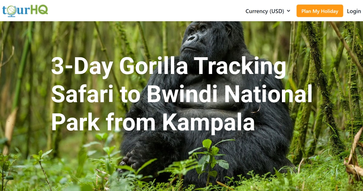 3-Day Gorilla Tracking Safari to Bwindi National Park from Kampala