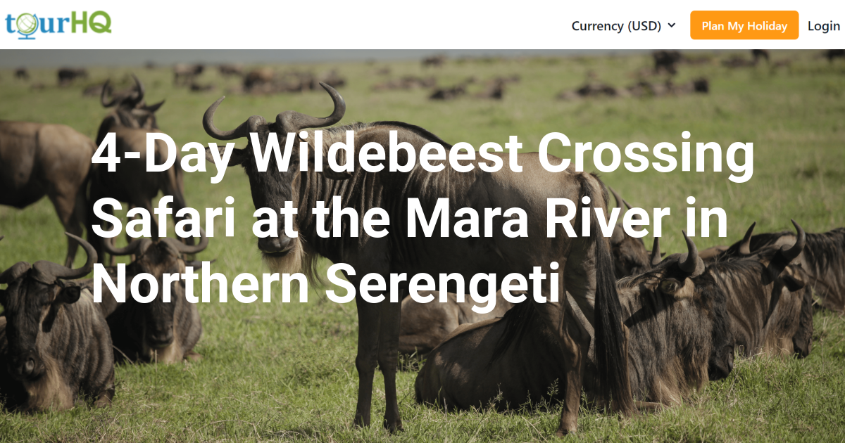 4-Day Wildebeest Crossing Safari at the Mara River in Northern Serengeti