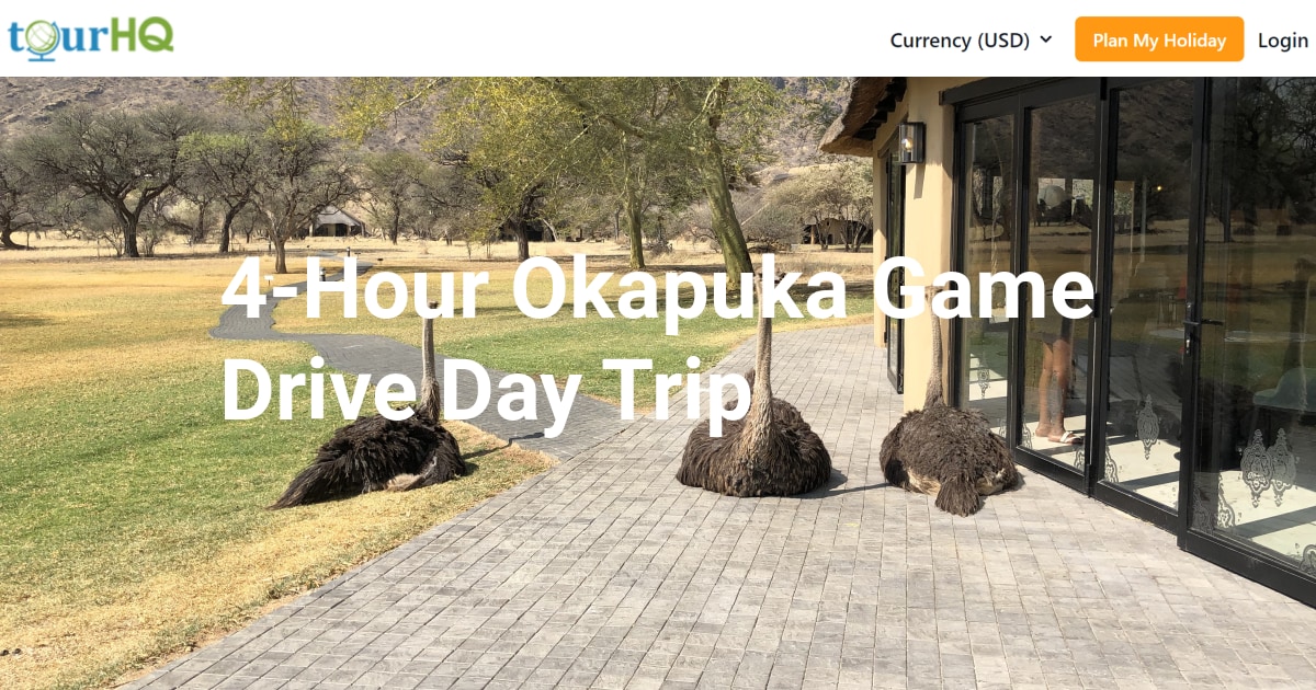 4-Hour Okapuka Game Drive Day Trip