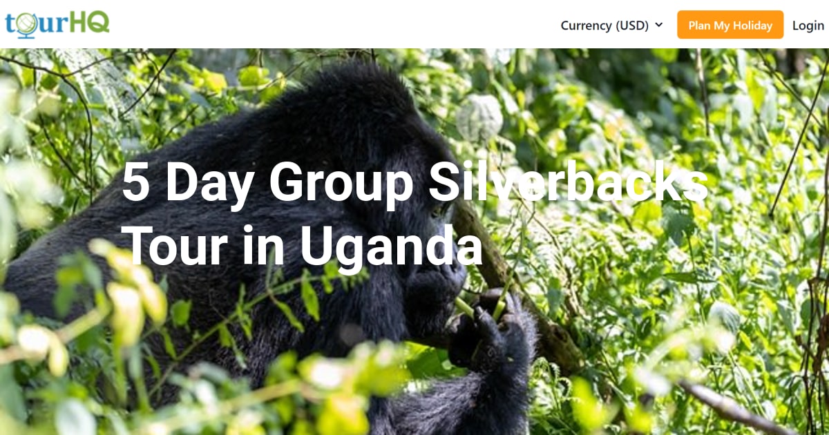 5 Day Group Silverbacks Tour in Uganda