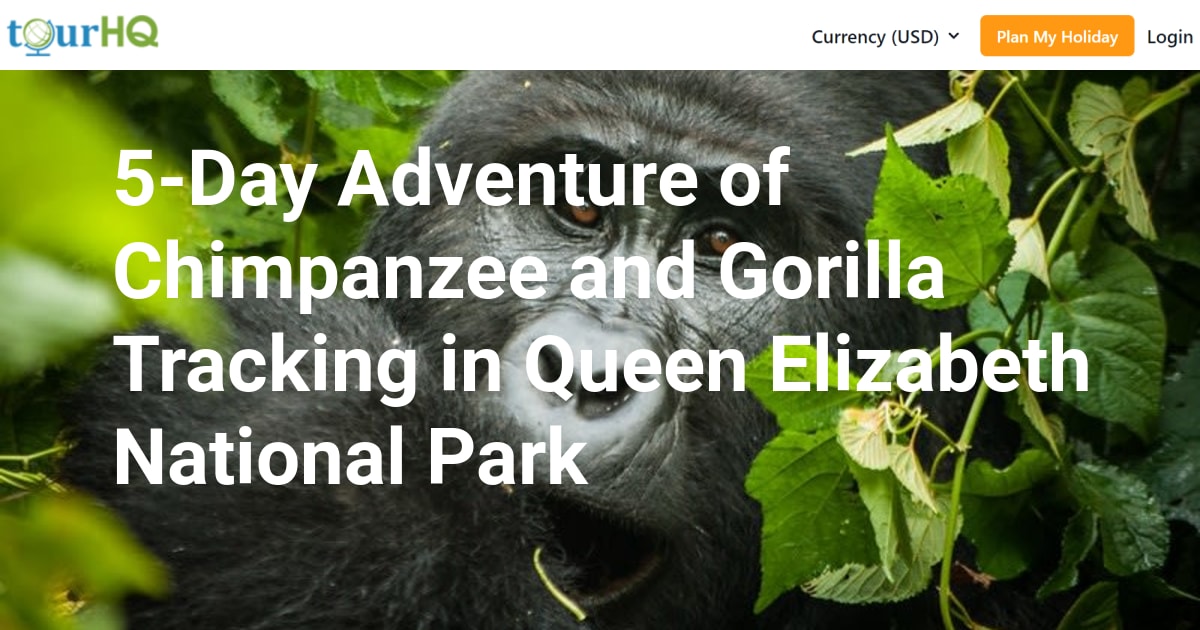 5-Day Adventure of Chimpanzee and Gorilla Tracking in Queen Elizabeth ...