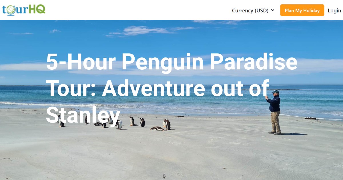 5-Hour Penguin Paradise Tour: Adventure out of Stanley
