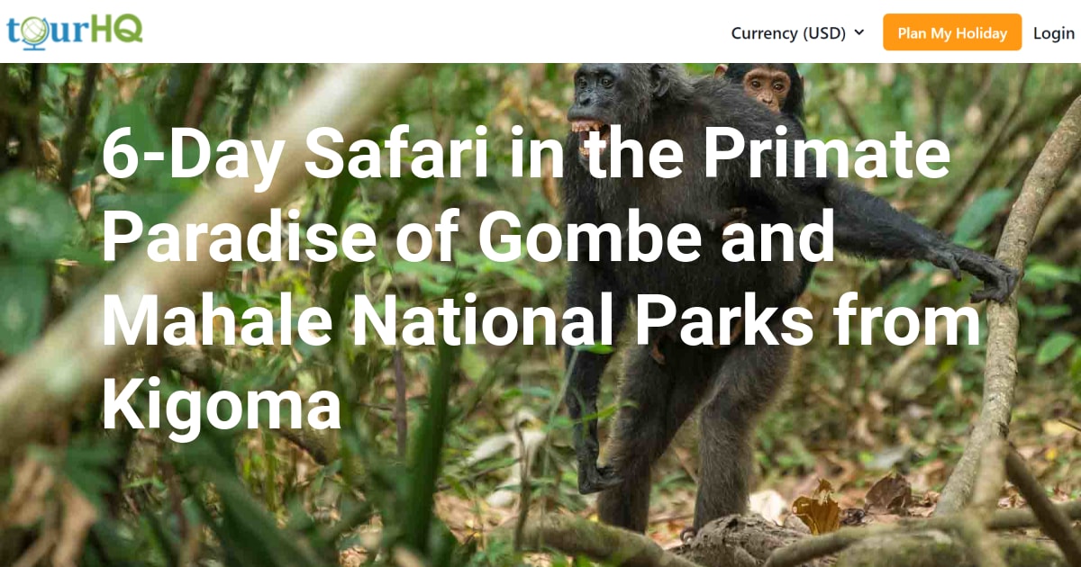 6-Day Safari in the Primate Paradise of Gombe and Mahale National Parks ...