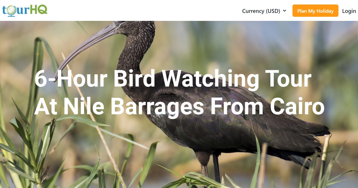 6-Hour Bird Watching Tour At Nile Barrages From Cairo