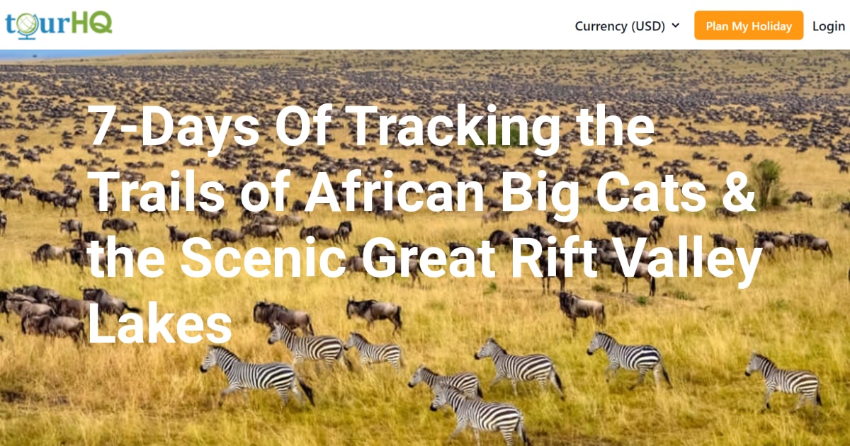 7-Days Of Tracking the Trails of African Big Cats & the Scenic Great ...