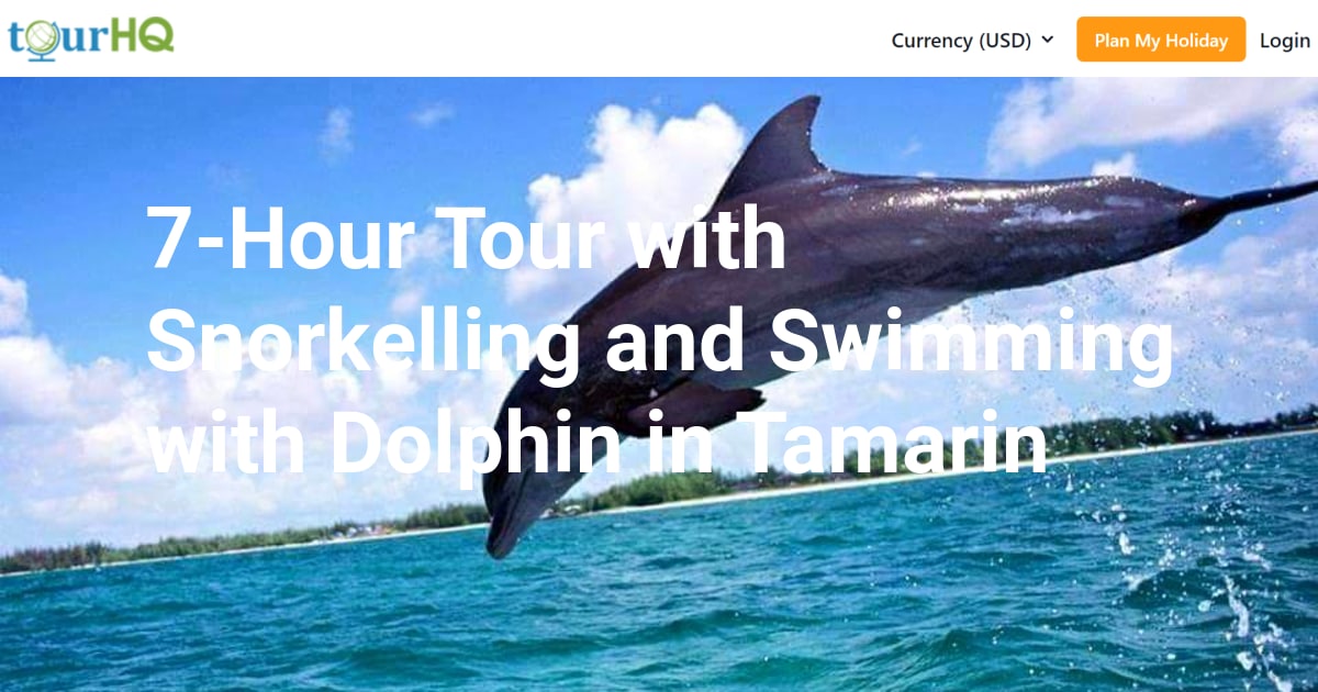 7-Hour Tour with Snorkelling and Swimming with Dolphin in Tamarin
