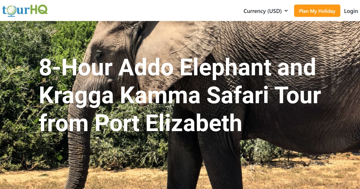 8-Hour Addo Elephant and Kragga Kamma Safari Tour from Port Elizabeth