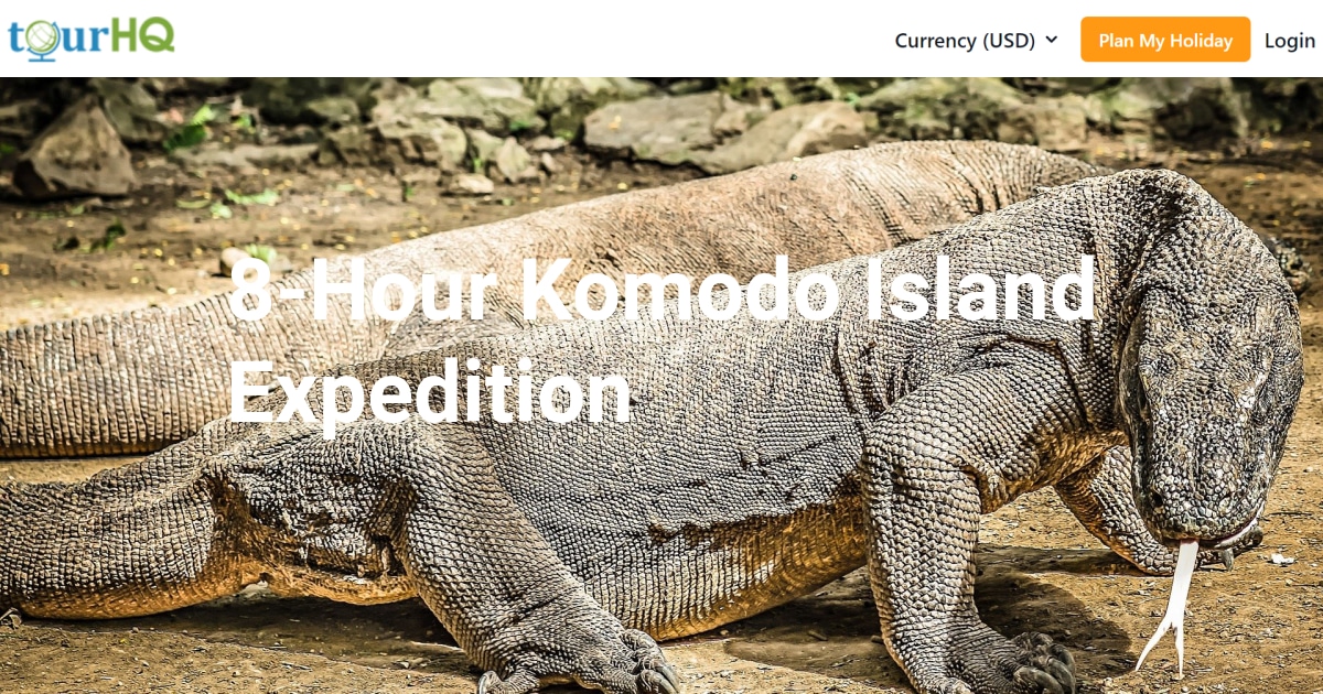 8-Hour Komodo Island Expedition