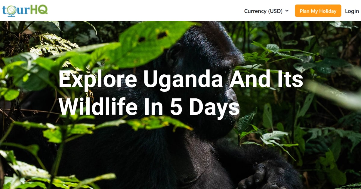 Explore Uganda And Its Wildlife In 5 Days
