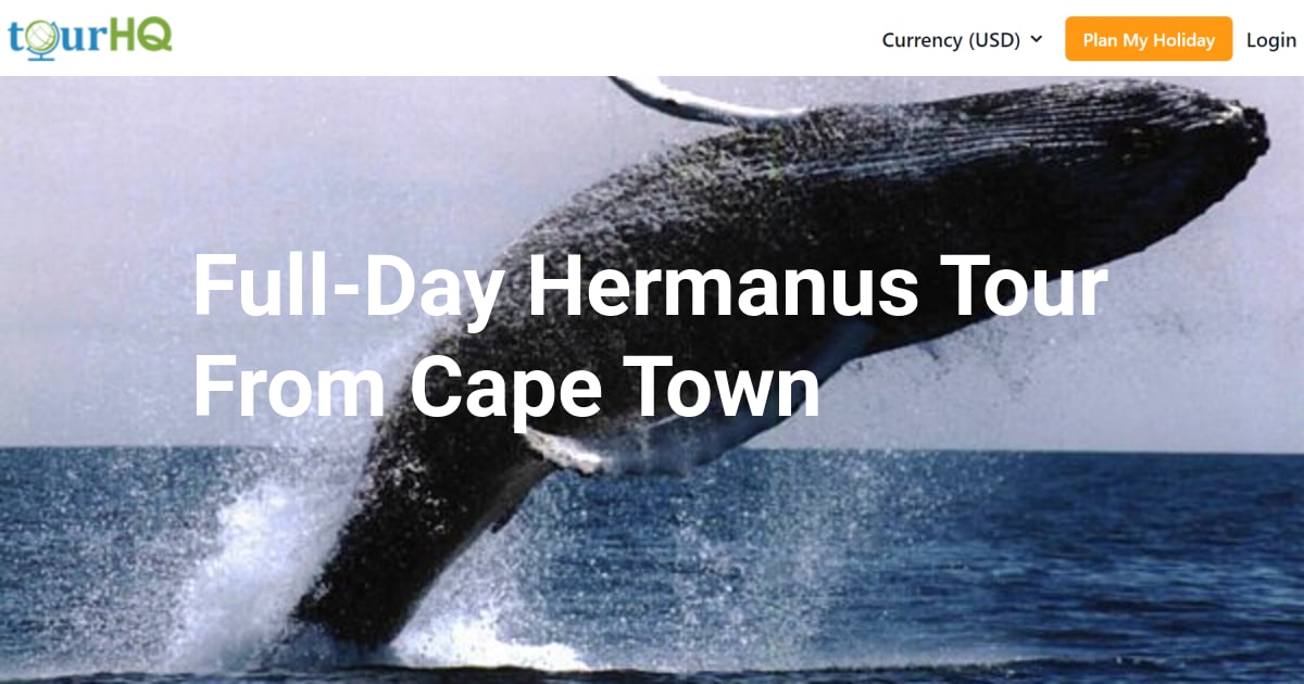 Full-Day Hermanus Tour From Cape Town