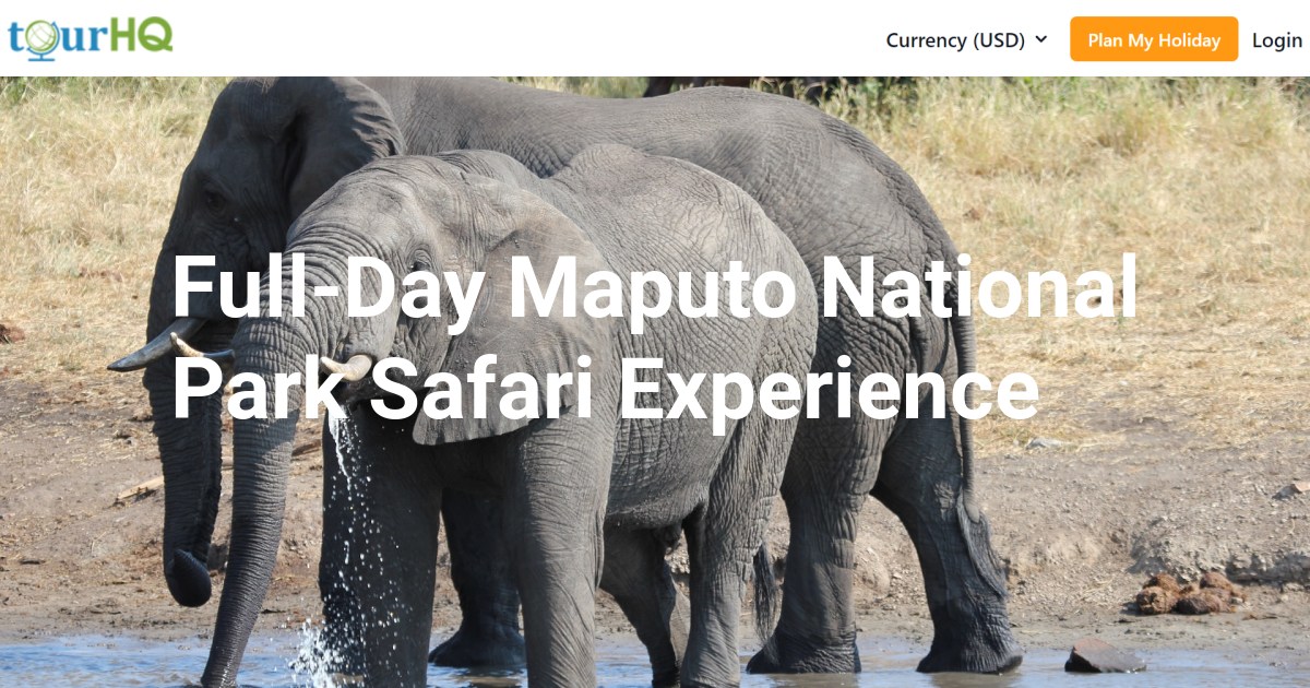 Full-Day Maputo National Park Safari Experience