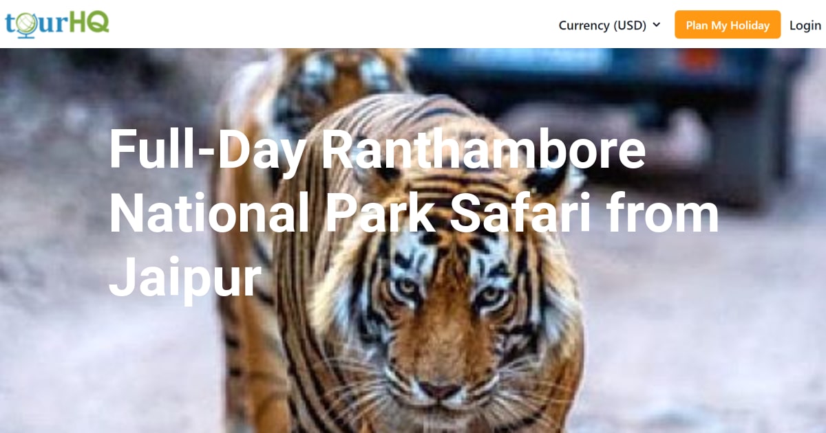 Full-Day Ranthambore National Park Safari from Jaipur