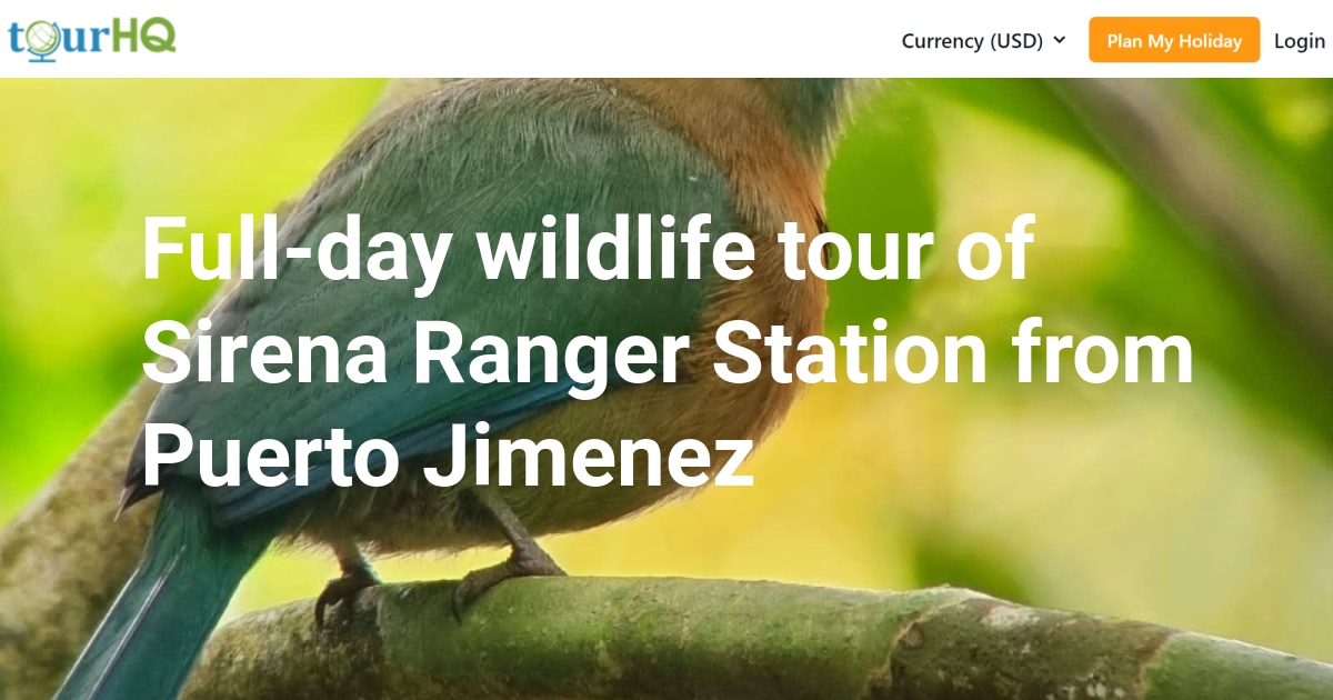 Full-day wildlife tour of Sirena Ranger Station from Puerto Jimenez