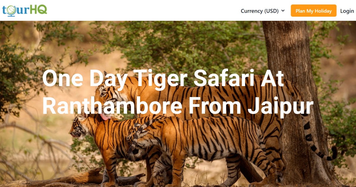 One Day Tiger Safari At Ranthambore From Jaipur