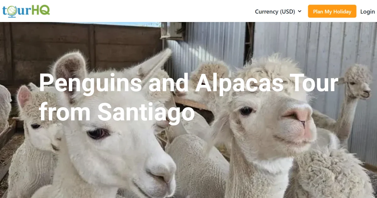 Penguins and Alpacas Tour from Santiago