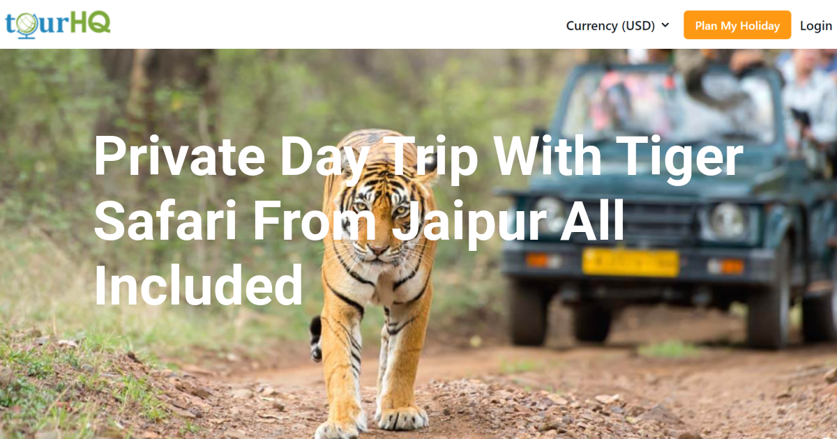 Private Day Trip With Tiger Safari From Jaipur All Included