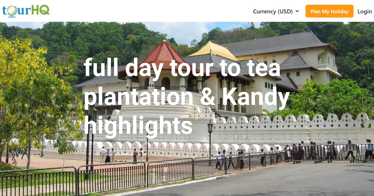 Full day tour to tea plantation & Kandy highlights