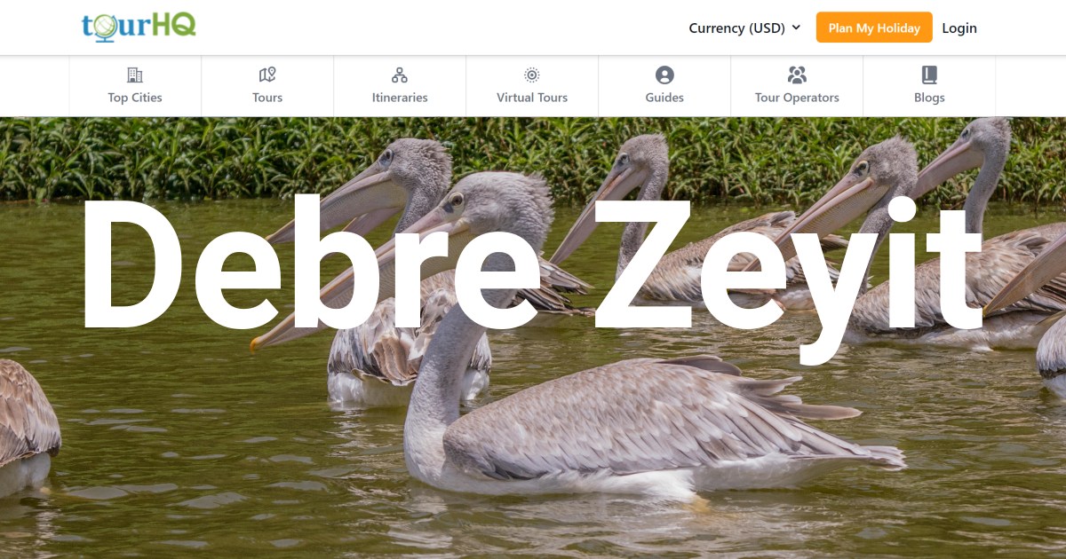 Private Local Guides & Guided Tours in Debre Zeyit | tourHQ