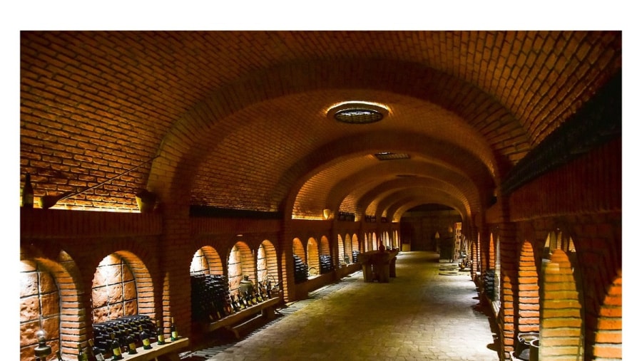 11-Hour Georgian Adventure Tour From Forest Roads to Wine Tunnels