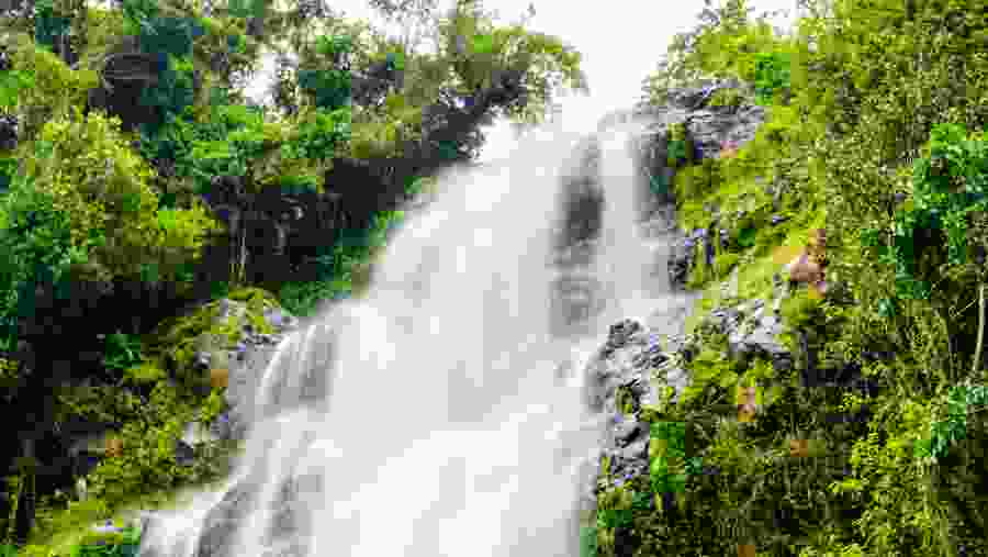 Full-Day Trip to Materuni Waterfall, Traditional Coffee Tour and Chemka ...